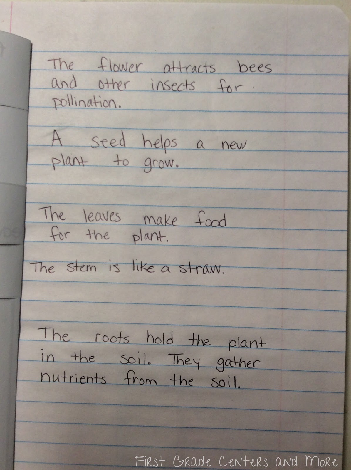 Interactive Science Notebook 1st Grade - First Grade Centers and More