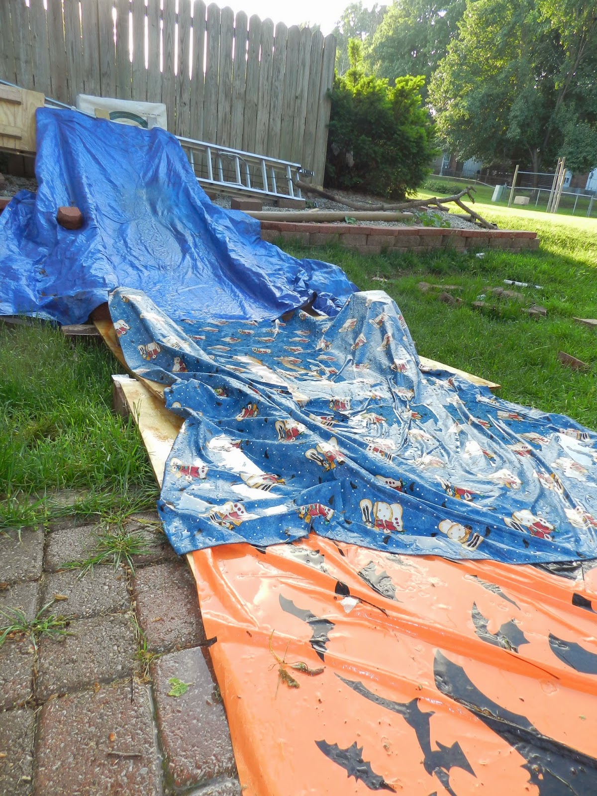 The Arnott Family Blog: Homemade Water Slide