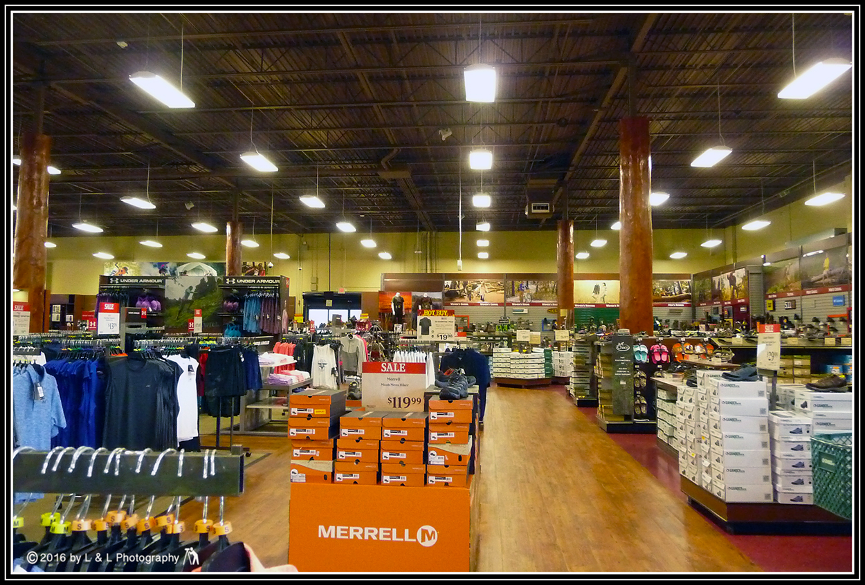 Ocala, Central Florida & Beyond: Gander Mountain