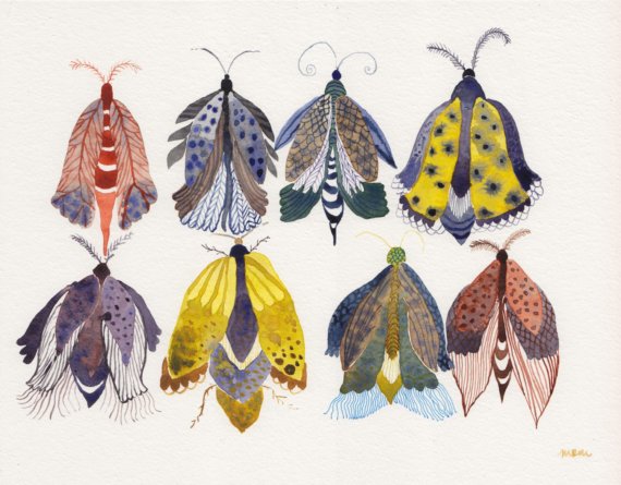 the art room plant: Michelle Morin