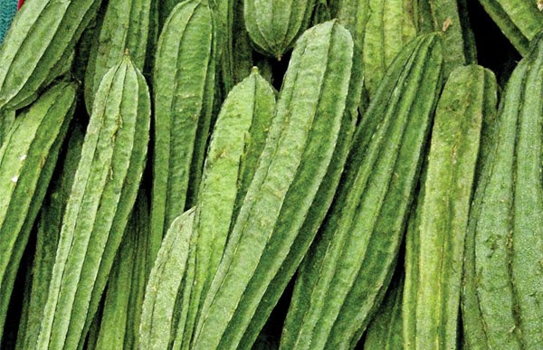 ketahui khasiat makanan anda: KHASIAT PETOLA