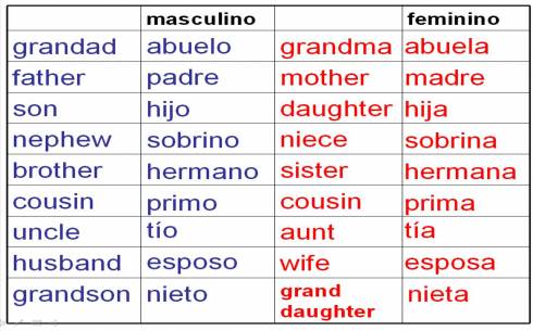 Let's speak Spanish: Vocabulario de la familia