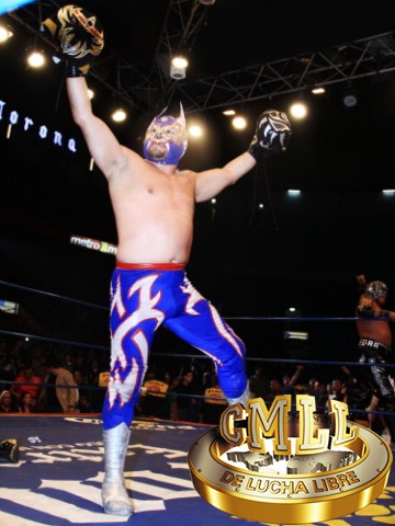 ESTRELLAS DEL RING.: Mr. Niebla regreso con más fuerza que nunca.