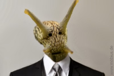 Fachanwalt für IT-Recht: Anwaltstypen: Der Schleimer