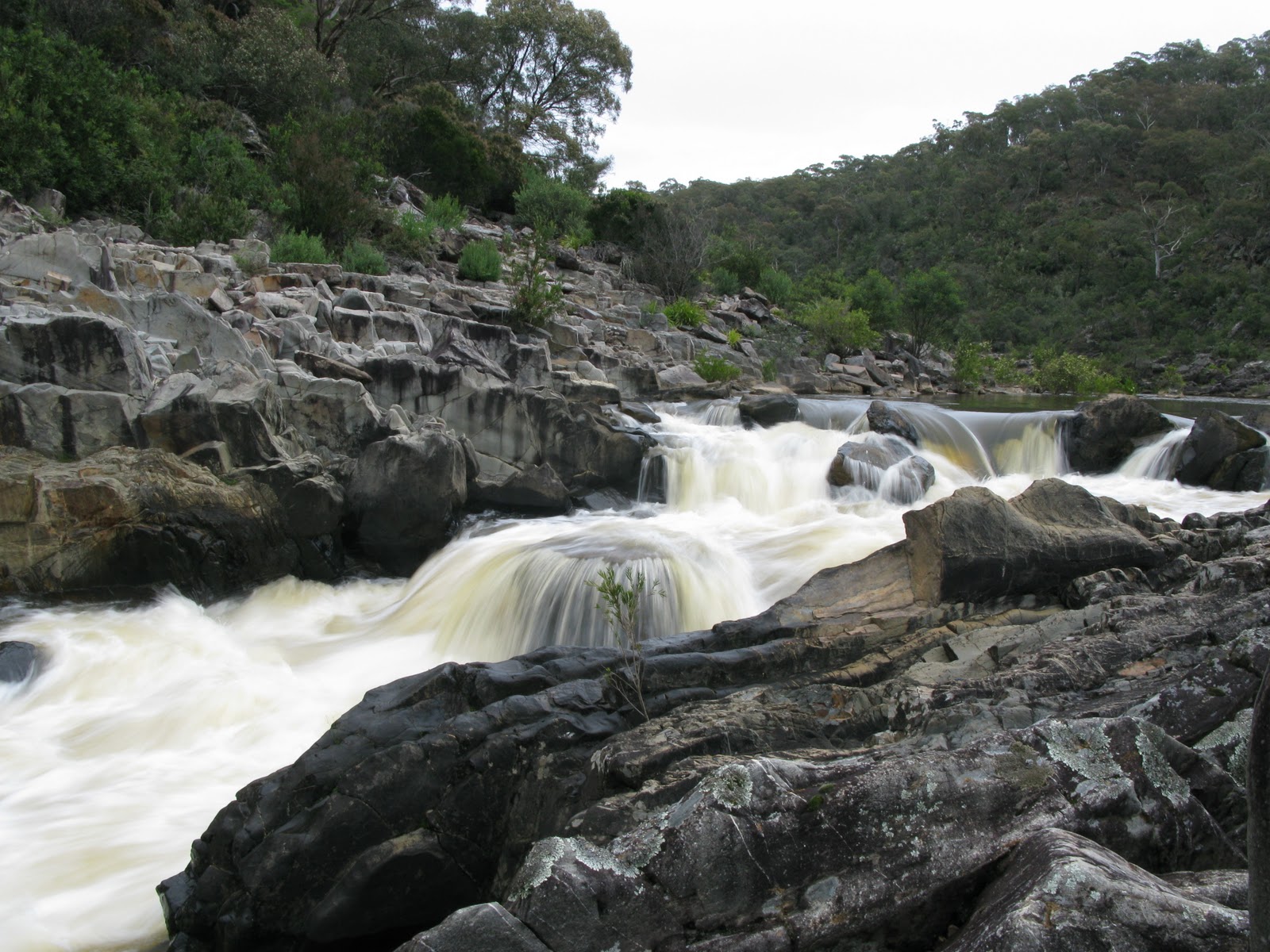 Darren M: WELCOME REEF TO SEWELLS POINT