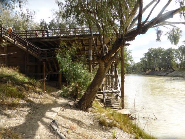 Travels with a Tick Magnet: Visiting Fred (and Louth and Fort Bourke)