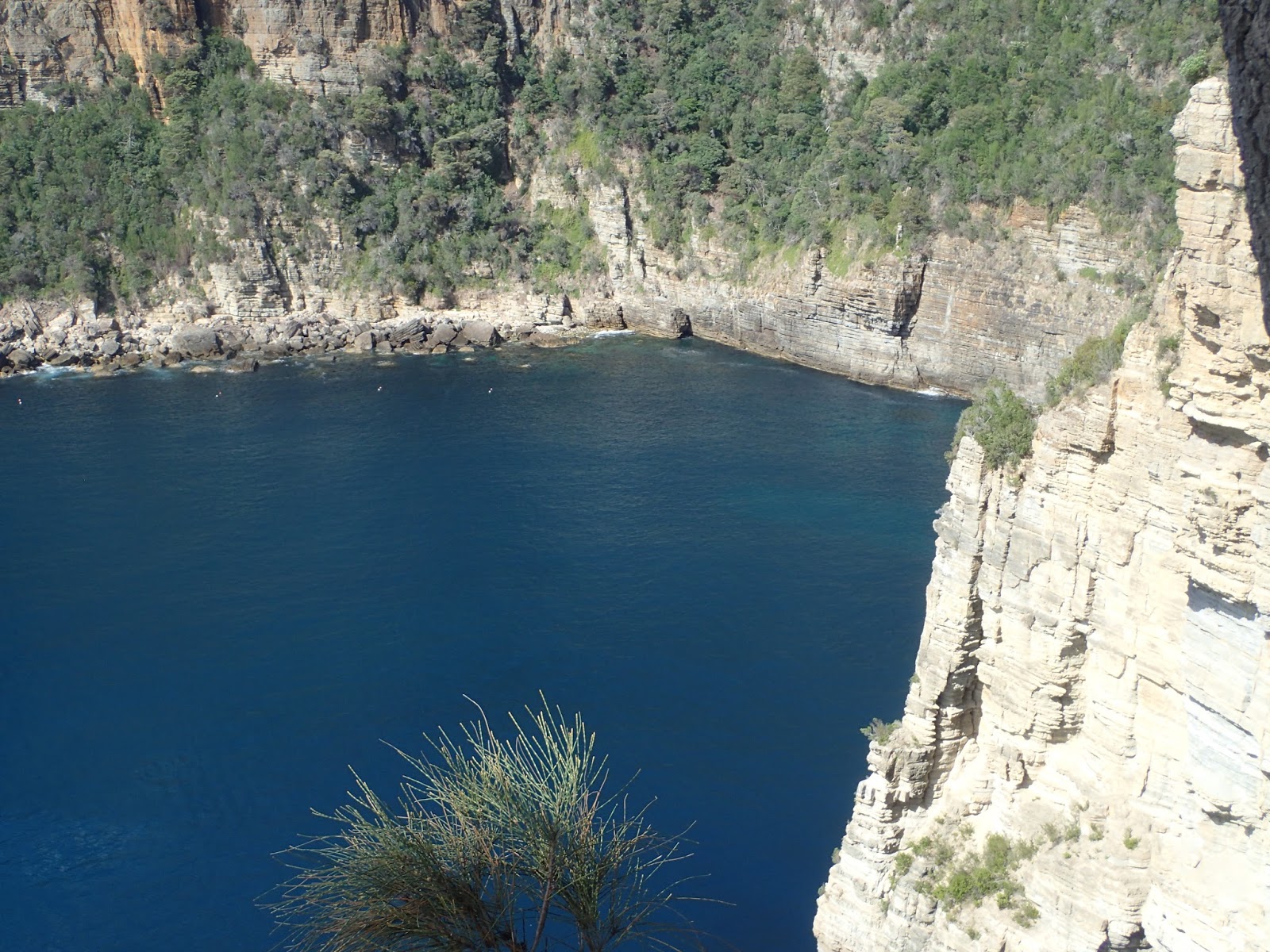 Waterfall Bluff | Hiking South East Tasmania