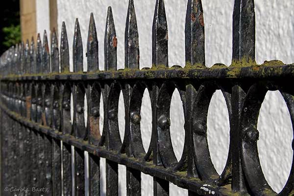 carola bARTz: Good Scottish Fences