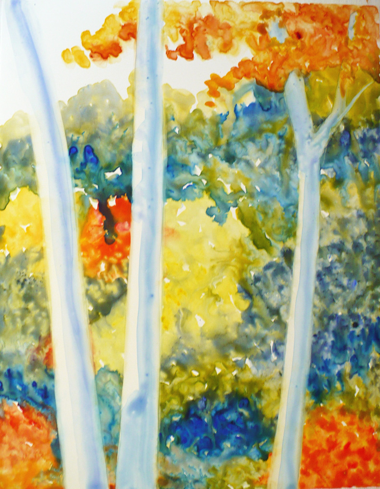 Zeh Original Art Blog Watercolor and Oil Paintings: Birch Trees in ...