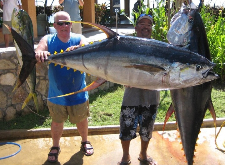 Blog do M@rcondes: Pescador chama atenção ao fisgar 2 atuns gigantes em ...