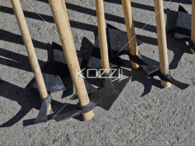 asarol - philippin news collections