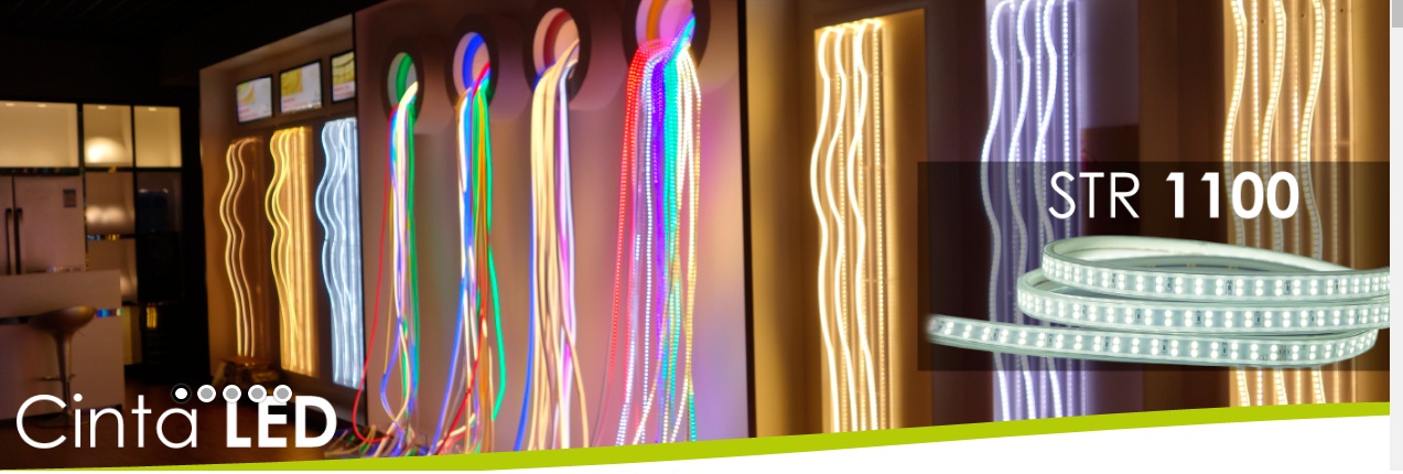 Ecolite LED Productos: Iluminando el Camino al Crecimiento Excepcional ...