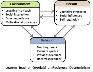 Cj's Instructional Systems Design Blog: Peer Teaching a Social Learning ...