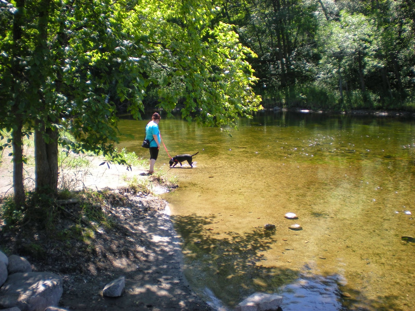 Minnesota Camping: Gull Lake Corp of Engineer Park (Brainerd, MN) July ...