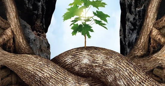 Intelligent Trees: everything that you've learned about trees