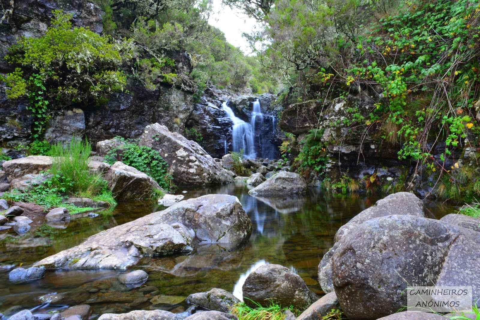 Caminheiros Anónimos Levadas da Madeira : Levada Grande do Paul (Calheta)