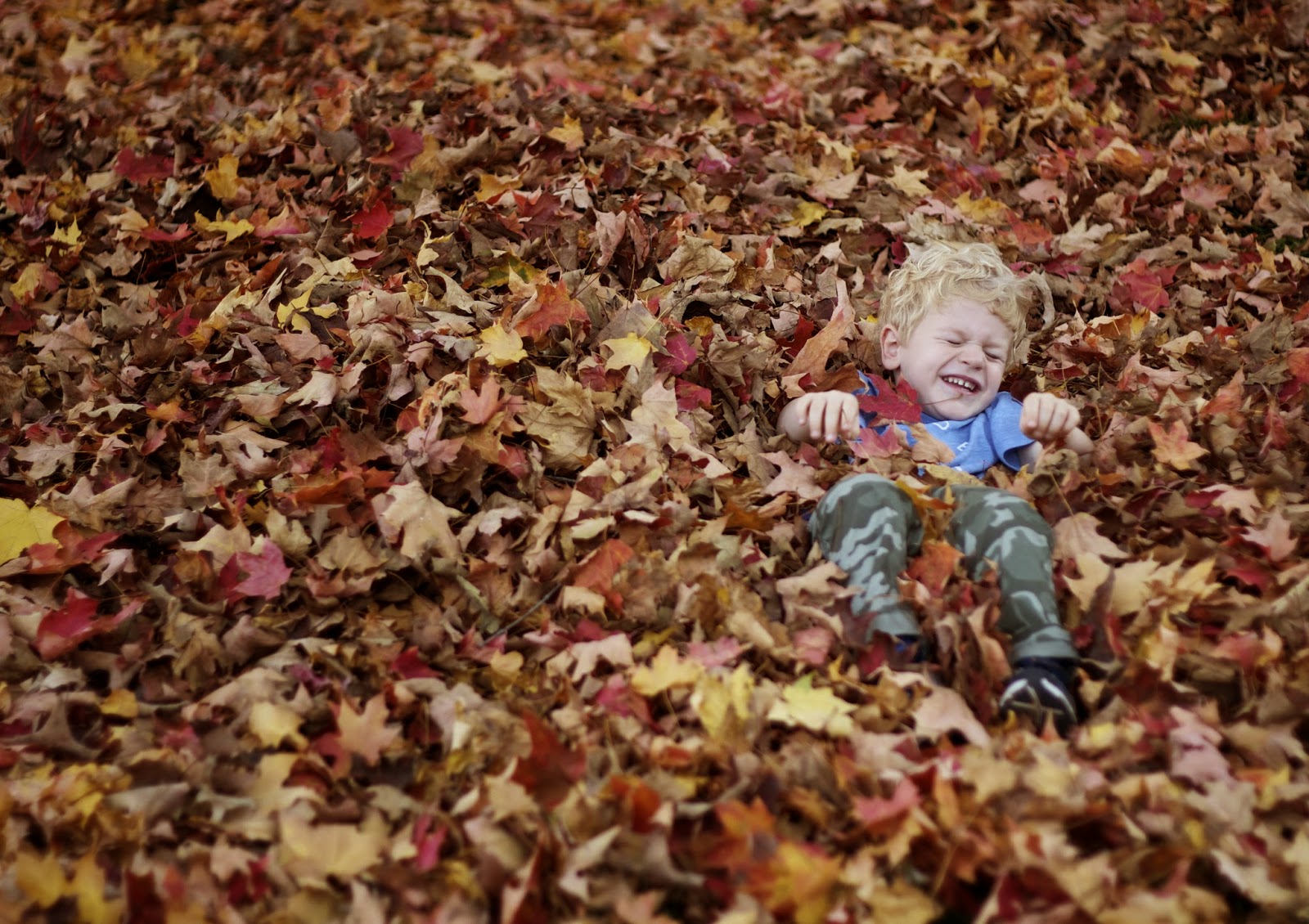 Chasing Davies: How to spend a fall day in Kansas City with your kids