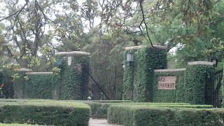 Houston Walks: Rice University Loop