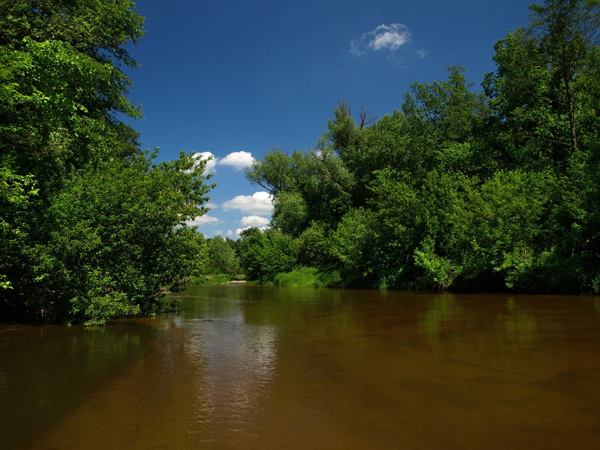 Wędkarstwo Moje Hobby: Polecane Łowiska (Rzeka Świder - Otwock)