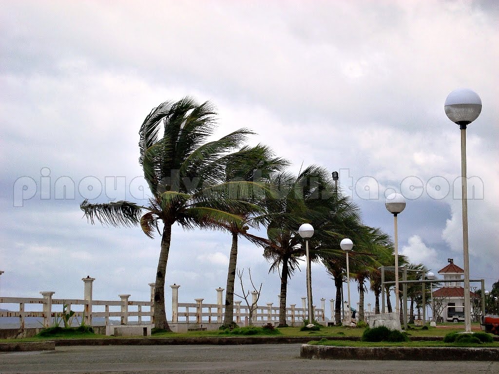 WHERE TO EAT IN ROXAS CITY - Sefoods at Baybay Beach and People's Park ...