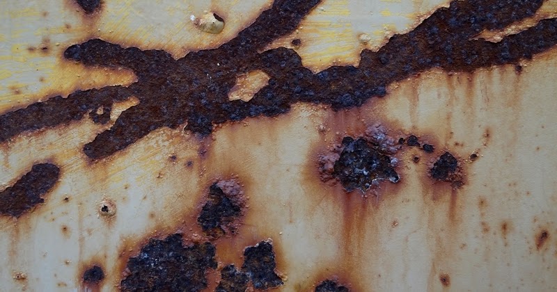 Fragments of the World: Griffure