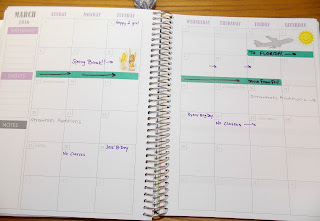 Messy & Thriving: What I Wouldn't Do for my Planner...