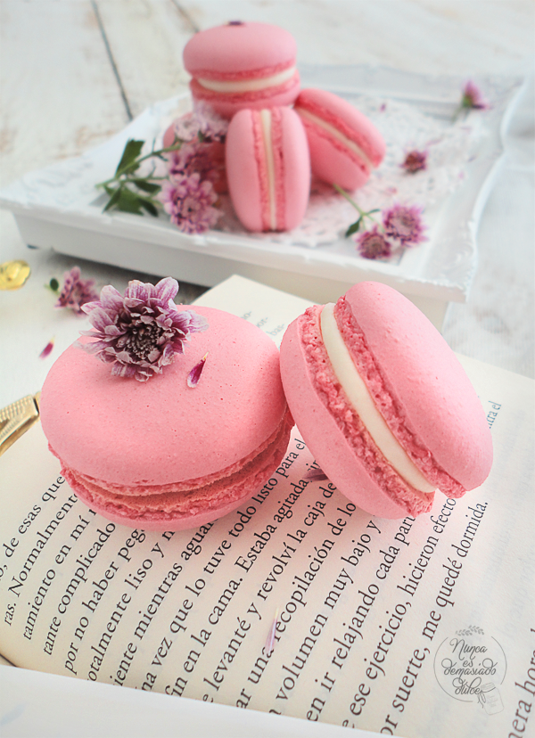 Macarons de Fresa — Nunca es demasiado dulce