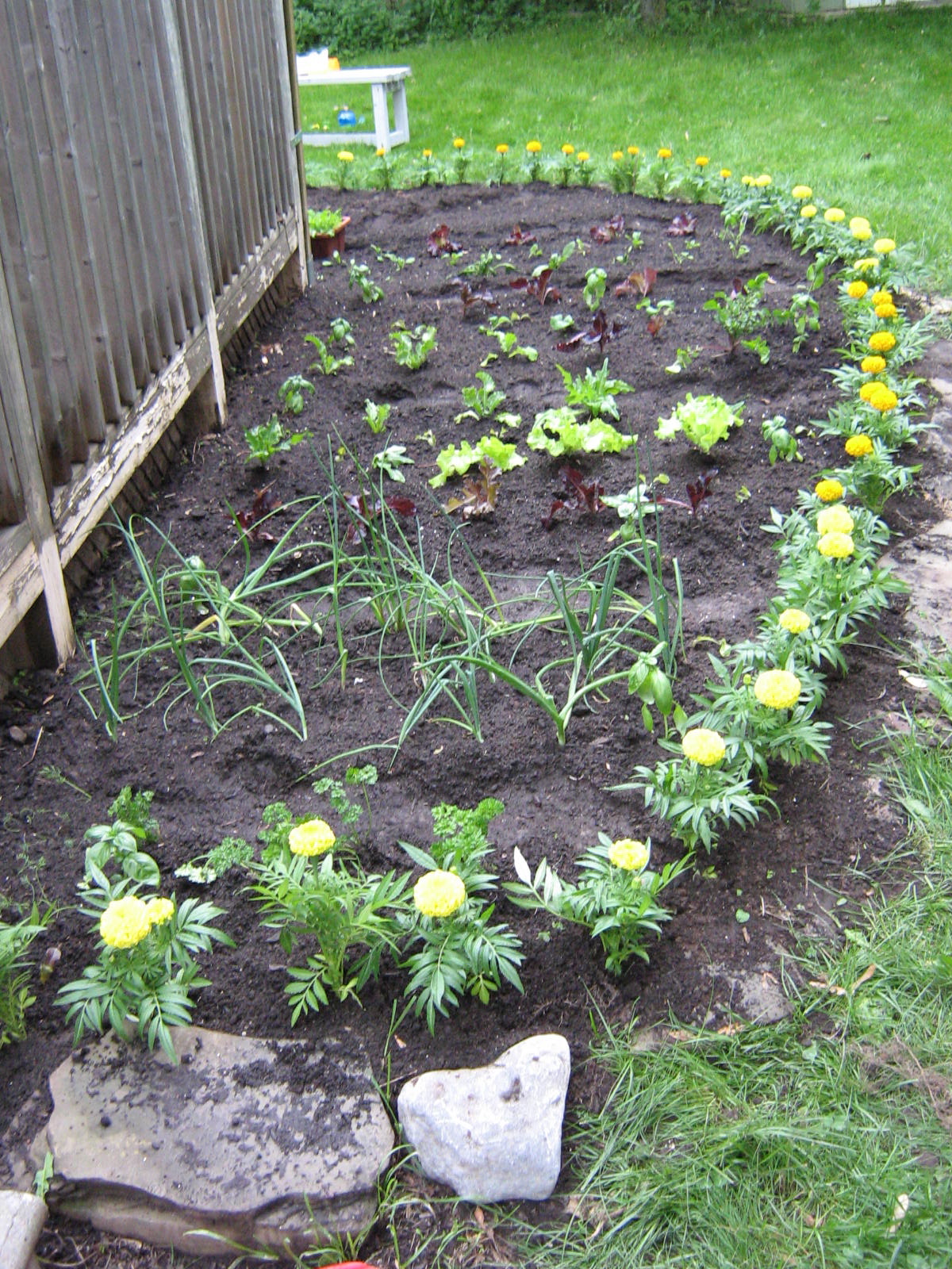 The Crunchy Viking: A Crunchy Viking Garden