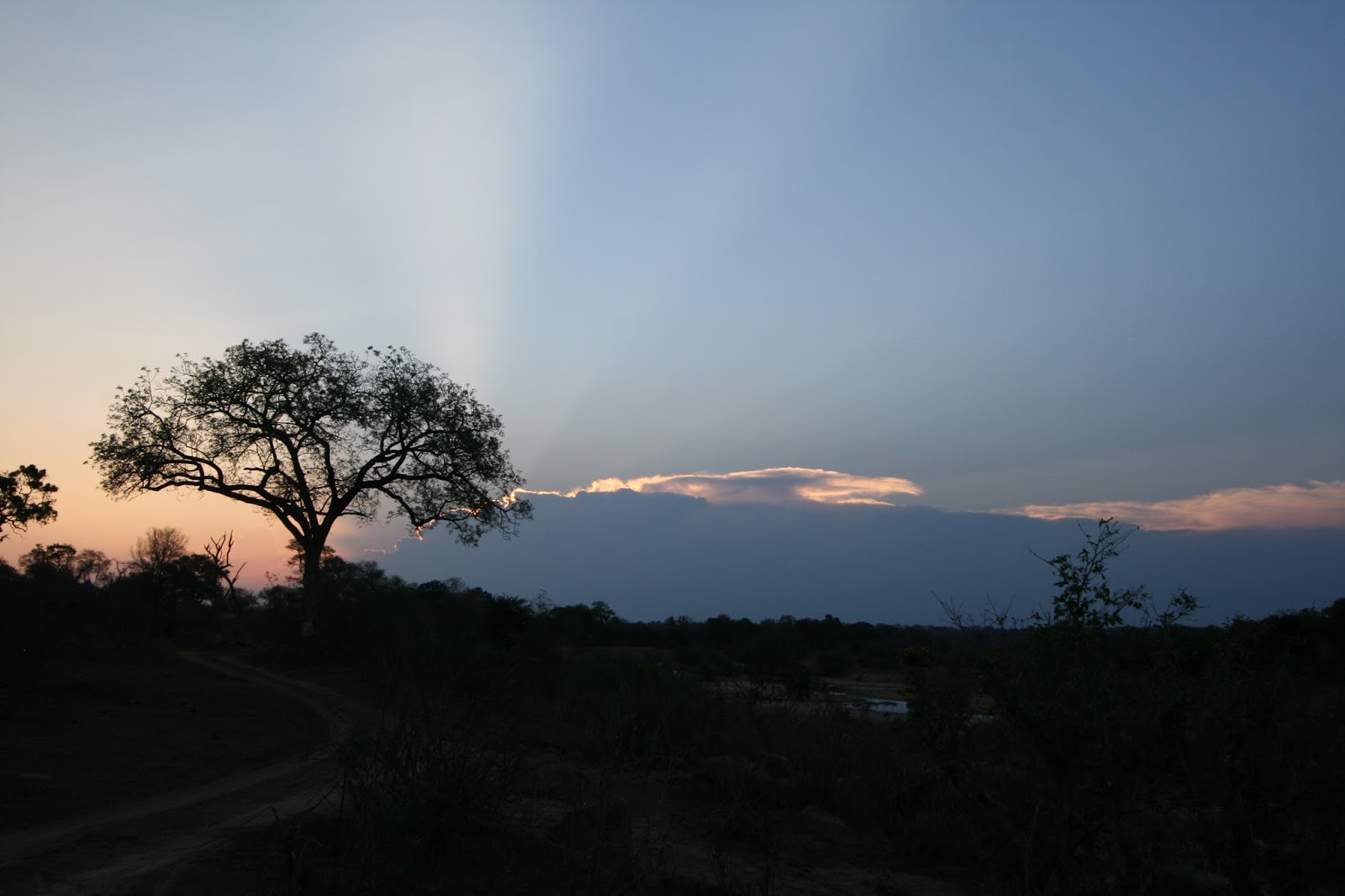 How to plan your first trip to Africa....