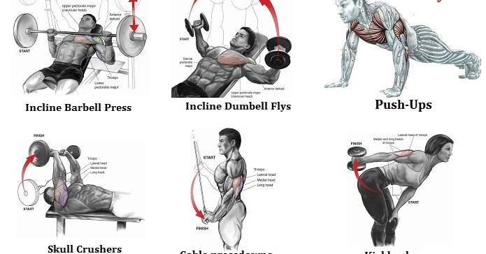 Best Beginner Weight Lifting Routines ~ multiple fitness