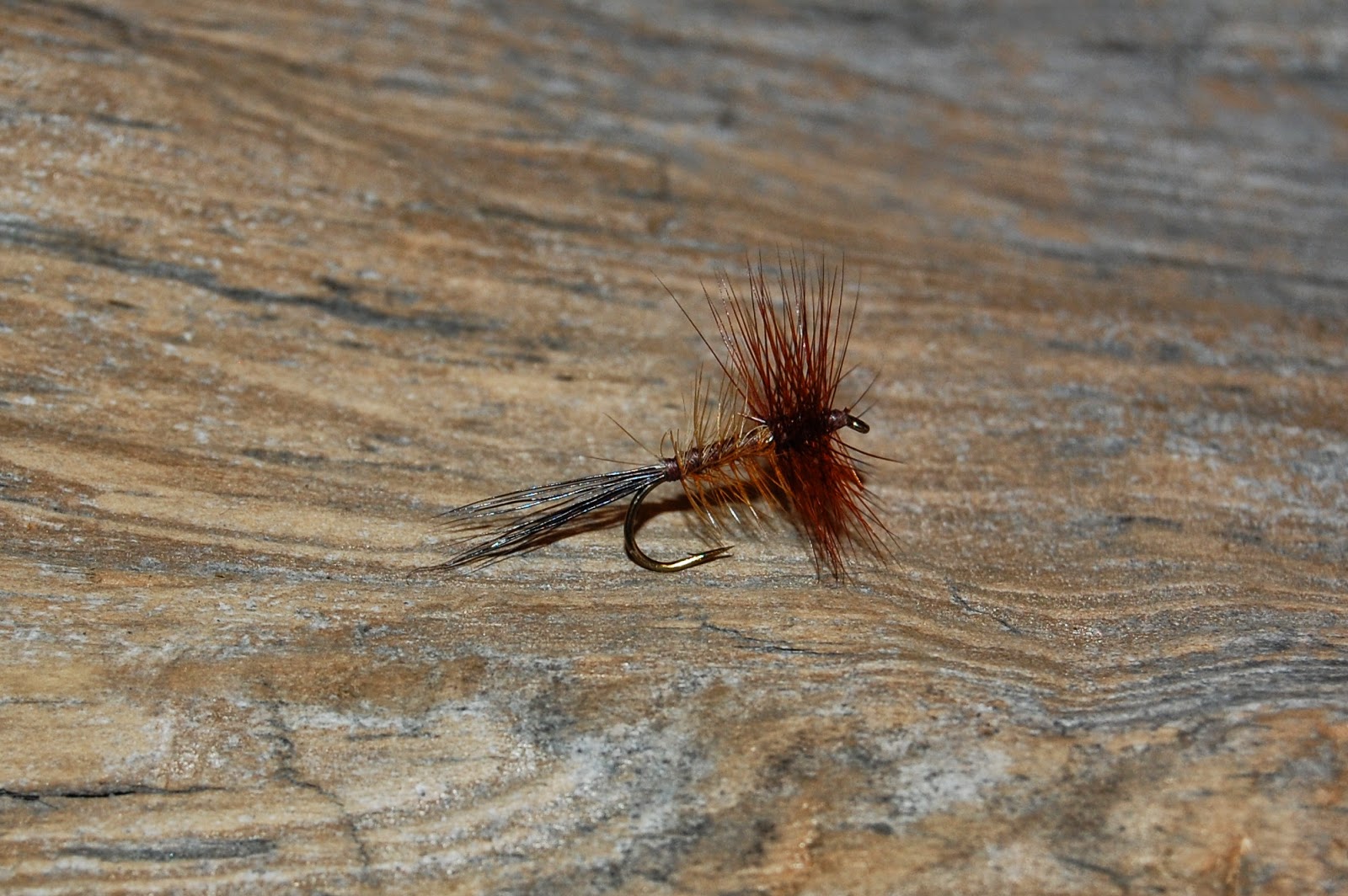 Ralph's Fly Box: Tying the Bivisible Moose (Video)