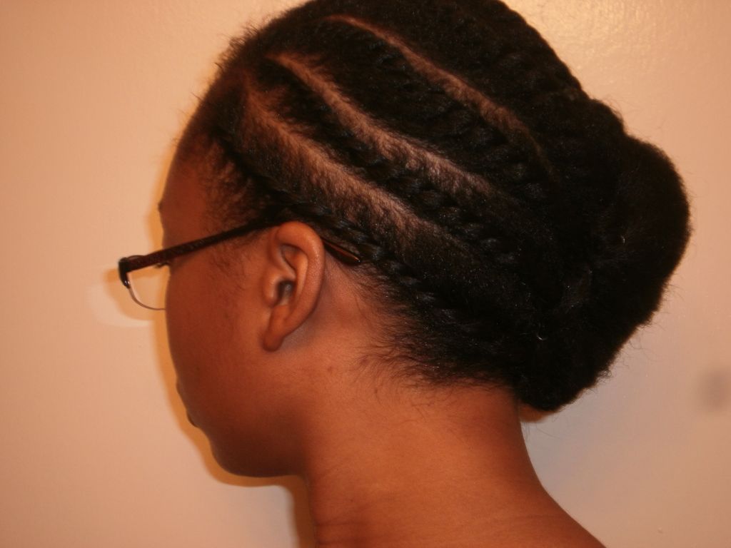 Life of a Naturalista: Hair Essentials - Two strand braids