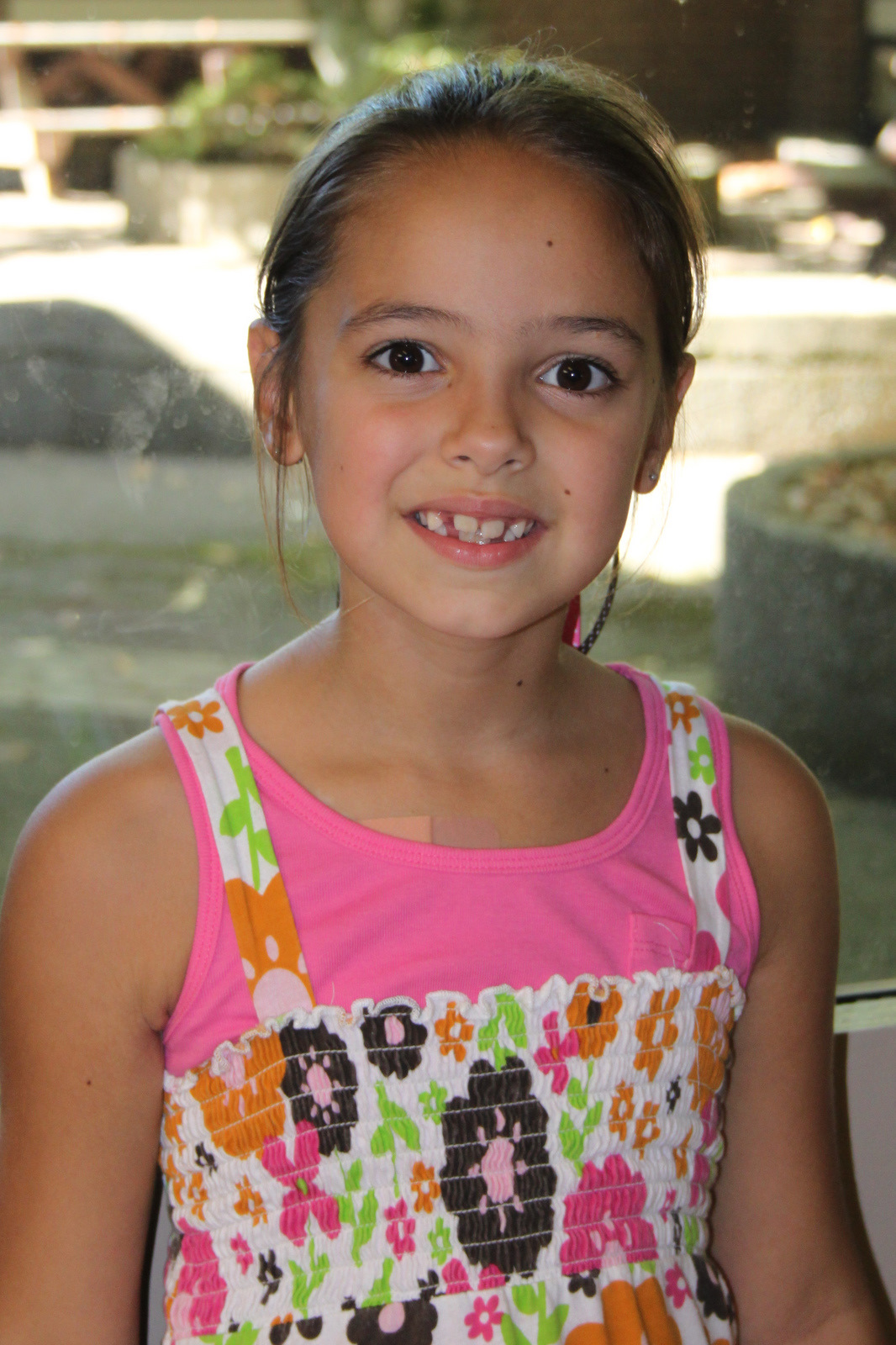 Robyn's Nest: First Grade