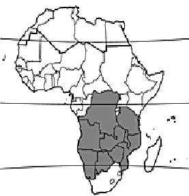CROP SCIENCE: THE MANKETTE: MONGONGO NUT TREE (Schinziophyton rautanenii)