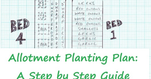 The Green Fingered Blog: Allotment planting plan - a step by step guide