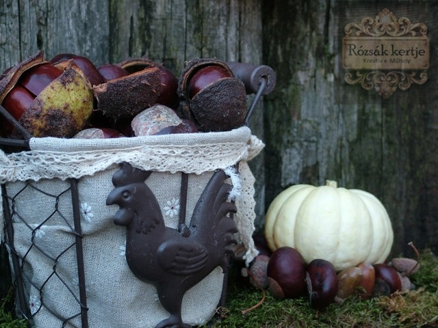 Rózsák Kertje Virág és Dekor: Dísztökök, termések az őszi dekorban