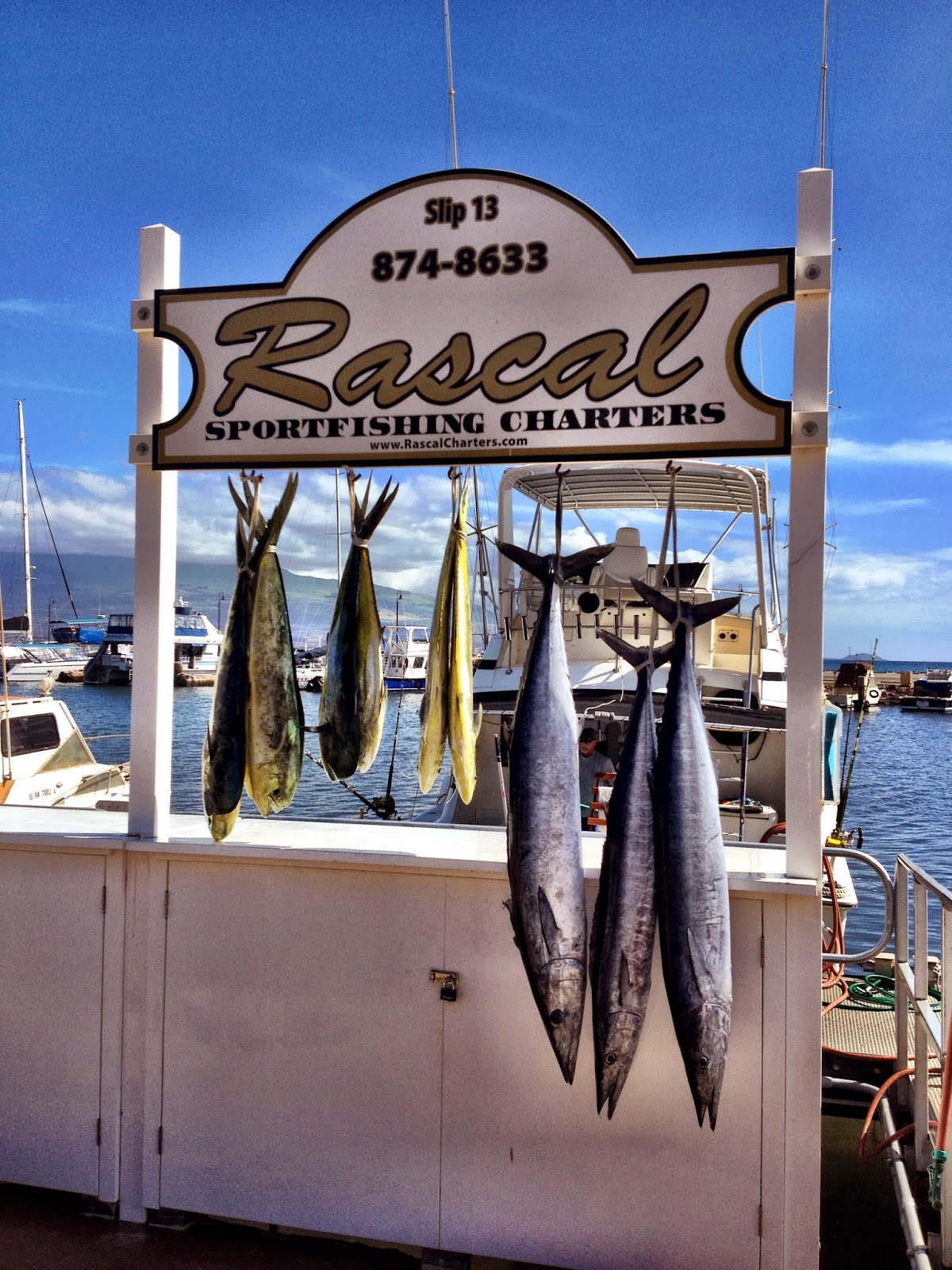 Maui Fishing Charters - Today's Fresh Catch: Maui Sport Fishing for ...