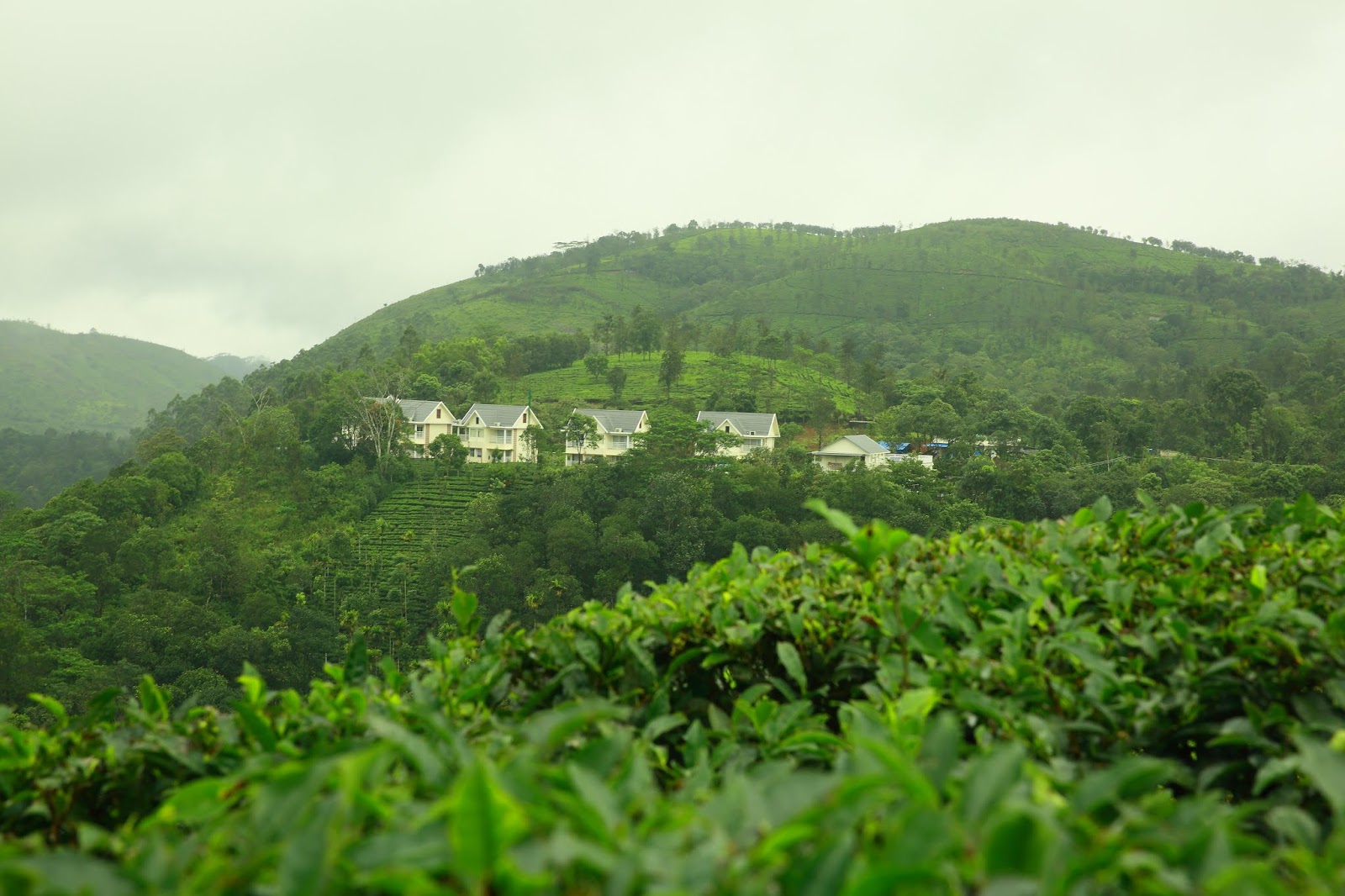 How to reach Vagamon.....