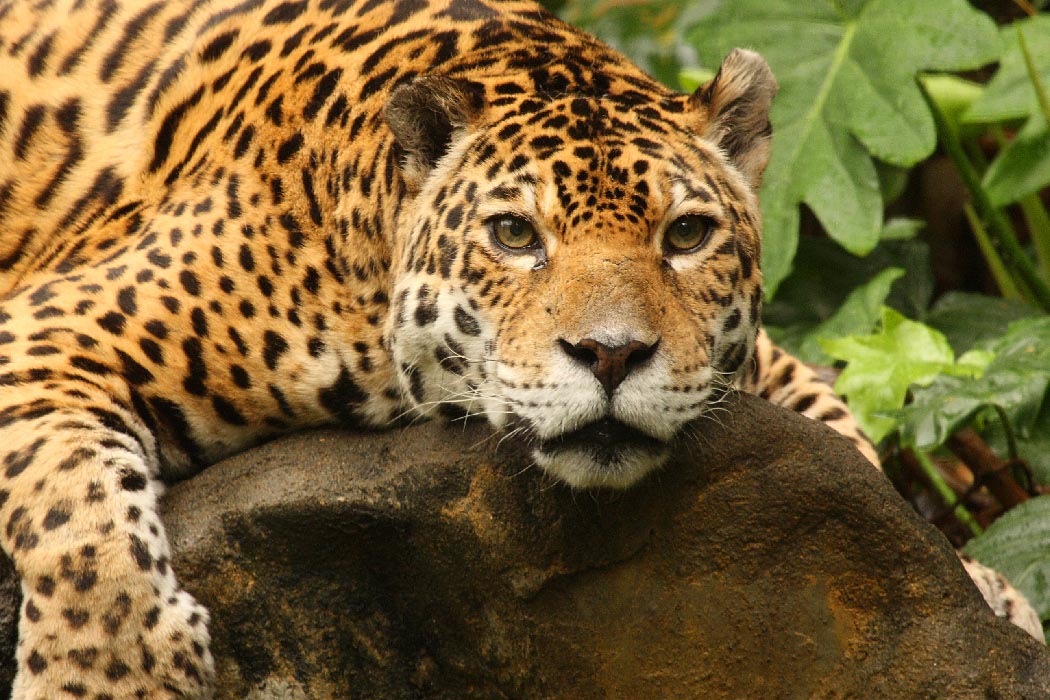 Sub Sea Systems - Our World: All About the Award-Winning Xcaret