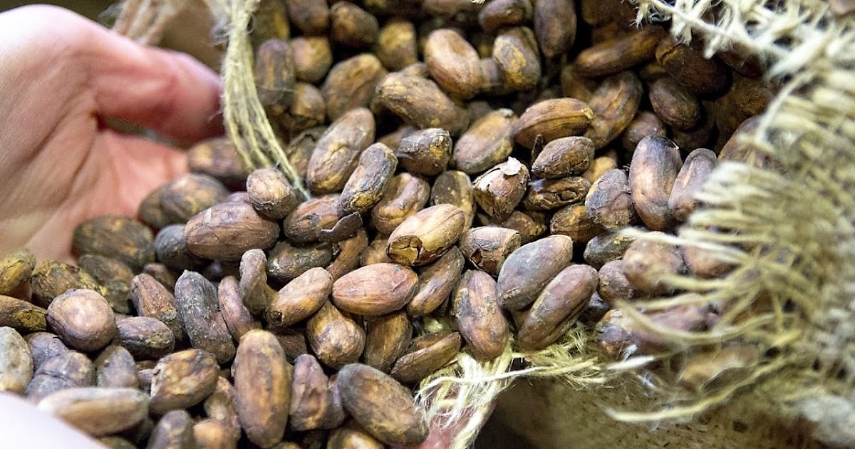 Fieggentrio: Chocola: Speculeren op de beurs.