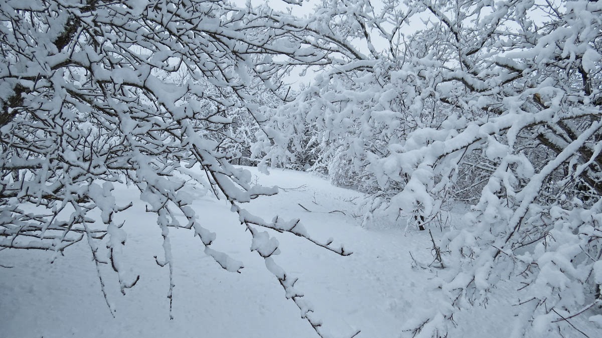 The Agatelady: Adventures and Events: Most Beautiful Snow Storm of the ...