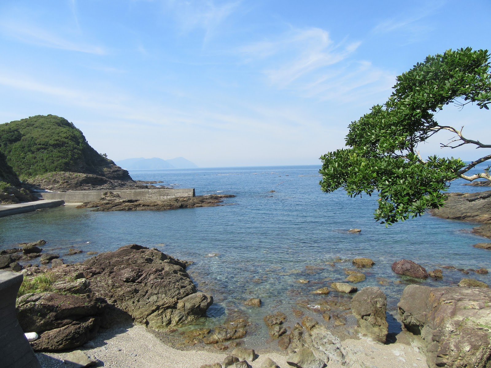 Beppu blog by a local English tour guide: Fukashima, a cats island in ...