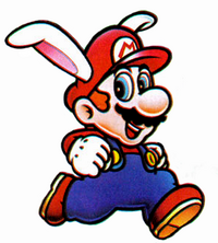 Spanengrish Ramblings: Super Mario and Luigi's Various Power-Ups