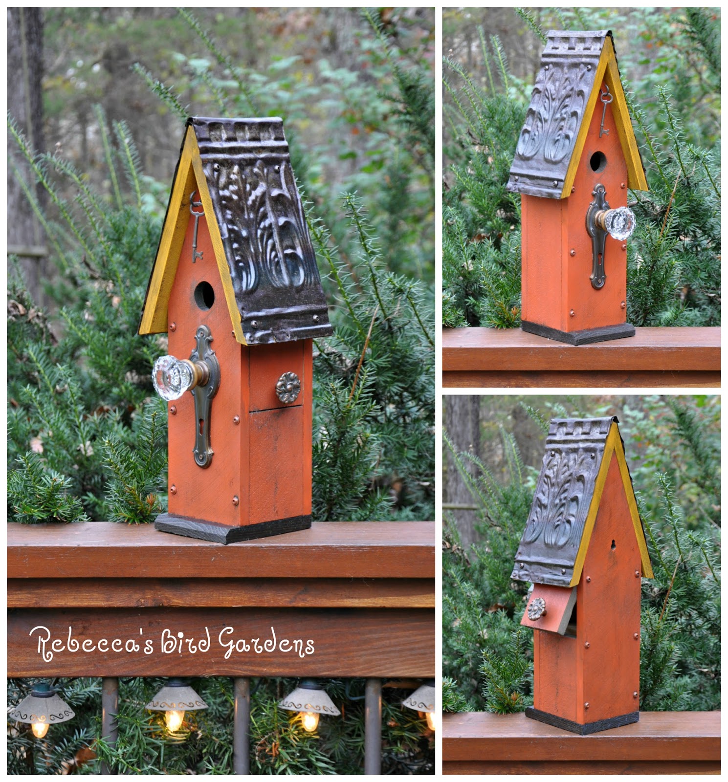 Rebecca's Bird Gardens: Products and Photos