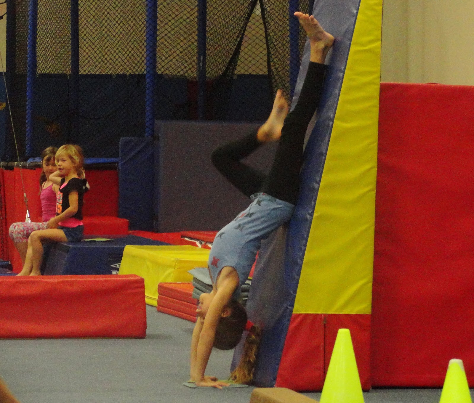 The Daily Lewis: Fit Kids Gymnastics
