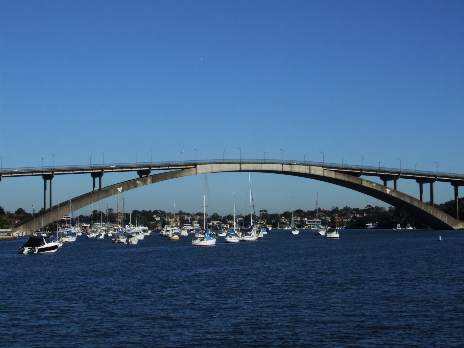 Fab Sydney Flashbacks: SYDNEY TRANSPORT: Opening of the Gladesville ...