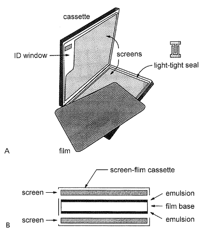 X-ray cassette - radiology health