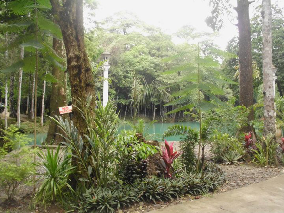 Mabinay Spring ~ Municipality of Mabinay