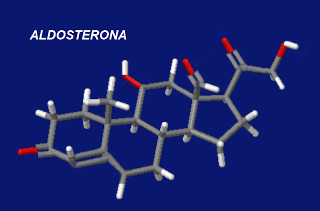 CURIOSIDADES CIENTÍFICAS : Corticoides