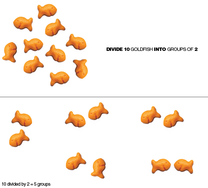 E is for Explore!: Beginner's Division